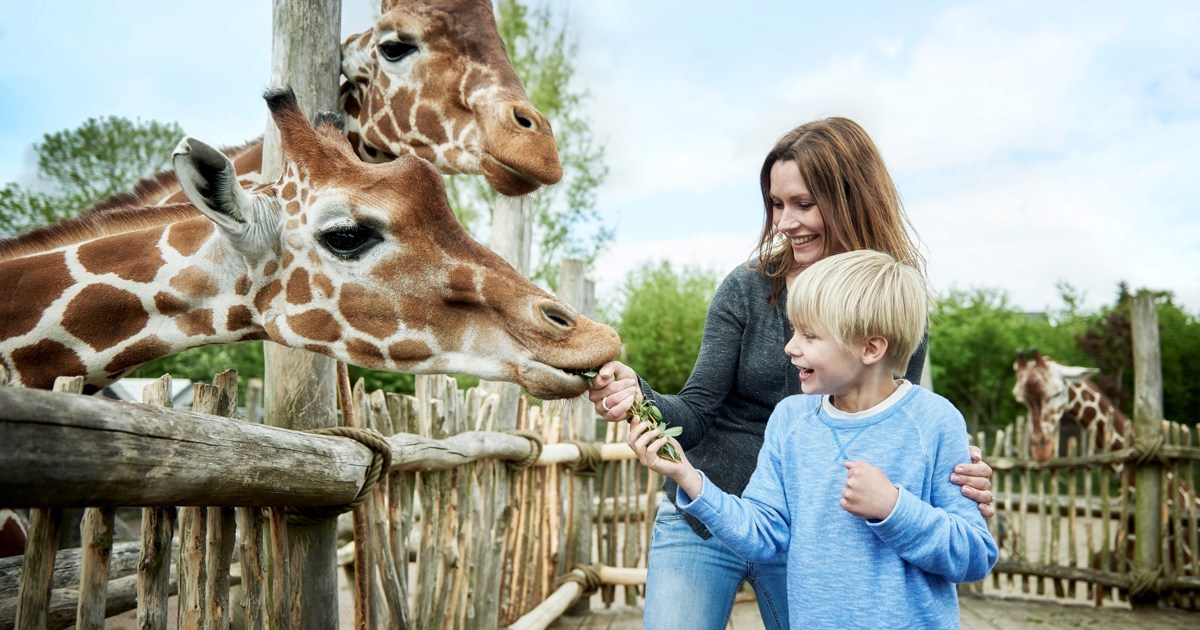 Historien om Odense ZOO