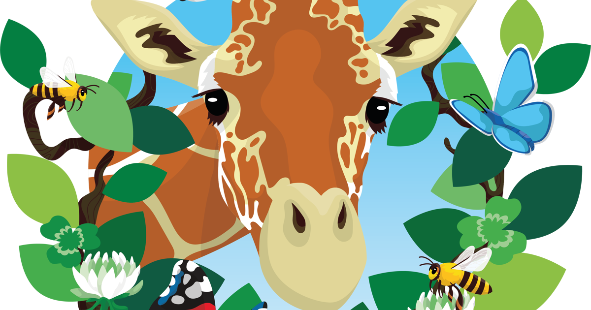 Odense ZOO | Oplev sommeren i ZOO